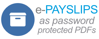 Paperless Payroll | Sign In